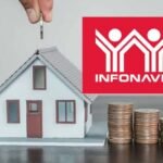 ¿Qué son Spicy Cubes y en dónde las puedes conseguir? - México Ya