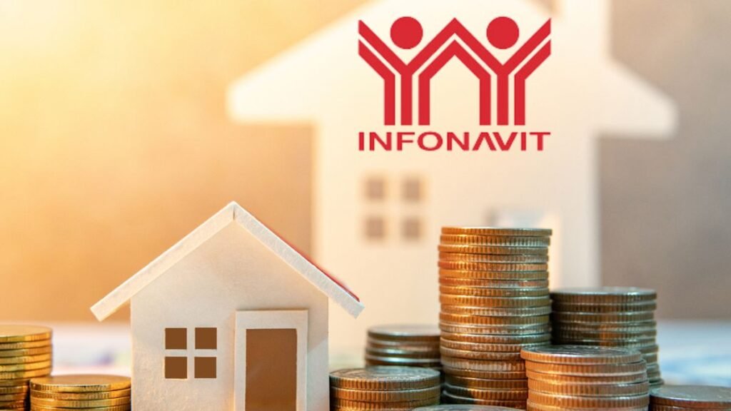 ¿Qué son Spicy Cubes y en dónde las puedes conseguir? - México Ya