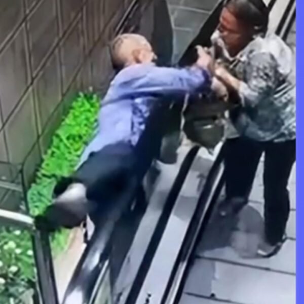 ¿Qué son Spicy Cubes y en dónde las puedes conseguir? - México Ya